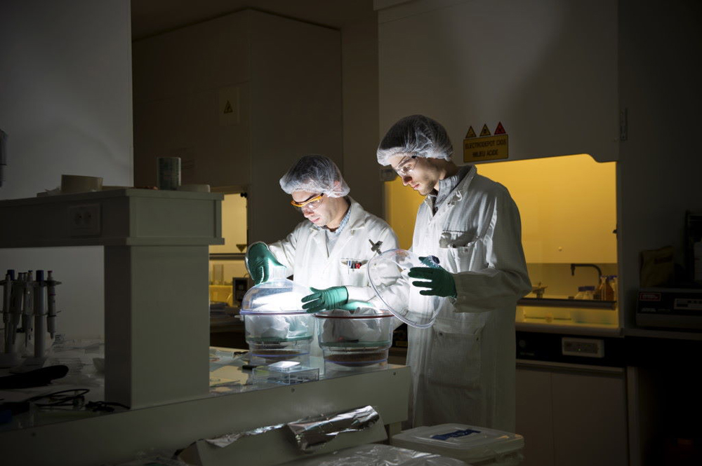 Formation Risque Chimique | Ifopse